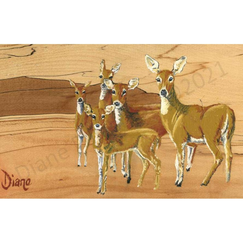 Ladies By Diane Patterson